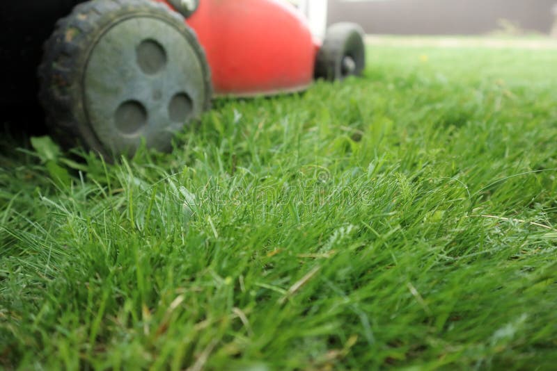 Lawn Mower Cutting Green Grass Low Angle Shot with Selective Focus ...
