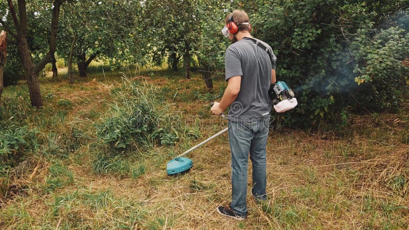 Lawn Mower Cutting Green Grass in Orchard Using String Trimmer. Stock ...