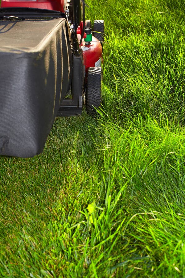 Lawn Mower Cutting Green Grass. Stock Image - Image of gardening, yard ...