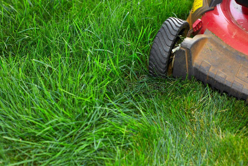 Lawn Mower Cutting Green Grass. Stock Photo - Image of summer, park ...