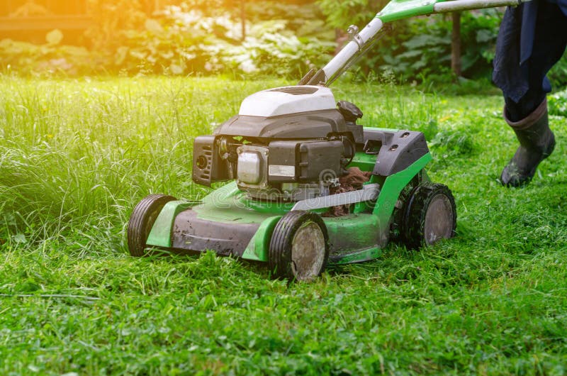 Lawn Mower Mows the Grass in the Park. Landscape Design, Garden Work ...