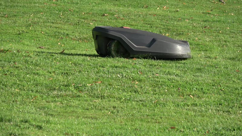 The Lawn Robot Mows the Green Lawn. a Robotic Lawn Mower Mows the Grass ...