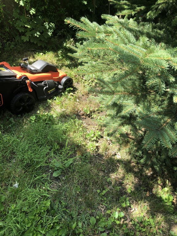 Mowing grass stock photo. Image of mower, grass, tree - 191646008