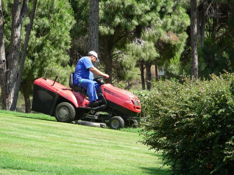 Lawn mowing stock photo. Image of green, lawn, mower, tree - 933496