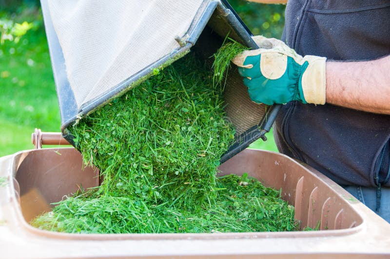 Lawn mowing stock photo. Image of cutting, ground, people - 45333514