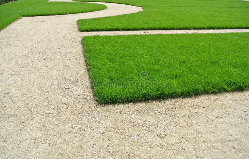 Lawn and path stock photo. Image of precision, choice - 73899558