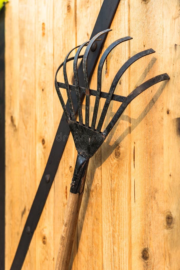 Lawn Rake is Hanging on the Wood Wall at Farm Stock Image - Image of ...