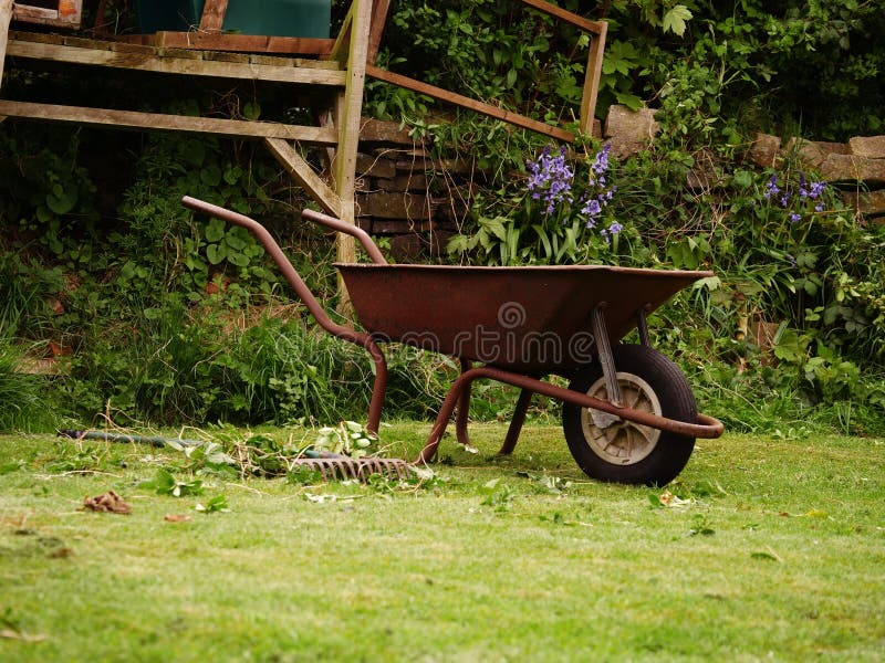 Lawn Rake with Rusty Old Wheelbarrow in Garden Stock Photo - Image of ...