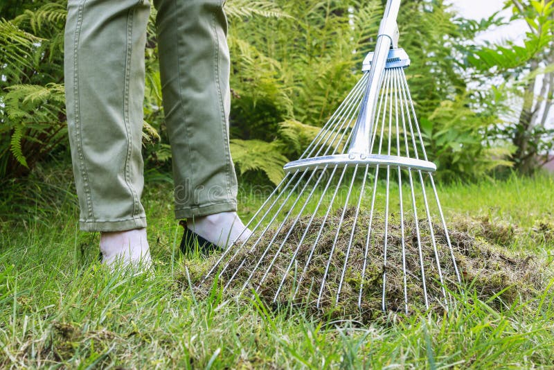 Lawn Raking. Work in the Garden Stock Image - Image of hobby, season ...