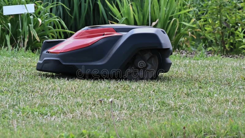 The Lawn Robot Mows the Green Lawn. a Robotic Lawn Mower Mows the Grass ...