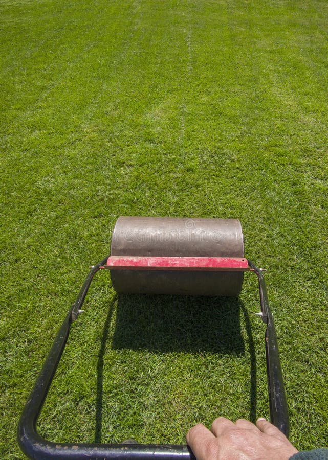 Lawn roller in action stock photo. Image of yard, press - 354857372