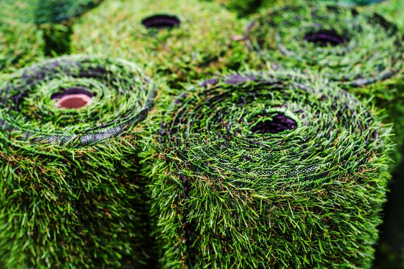Lawn in Rolls Made of Polymeric Materials. Polyethylene Grass in a ...