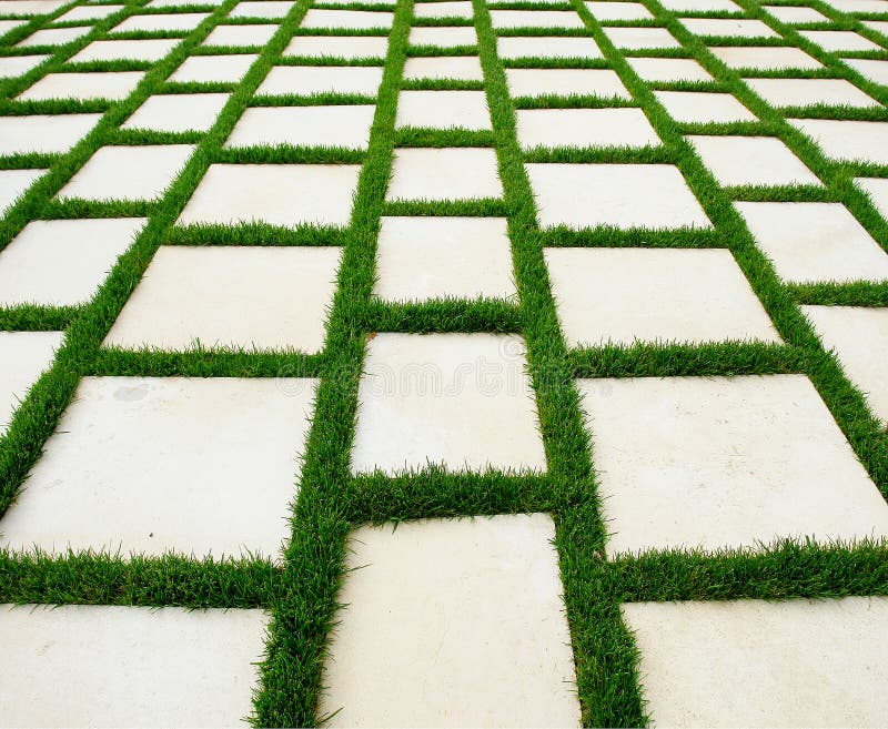 Lawn and Rustic Paving Texture Stock Image - Image of contrasts, grow ...