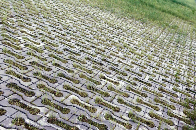 The Lawn for Slope Protection Stock Image - Image of brick, meadow ...