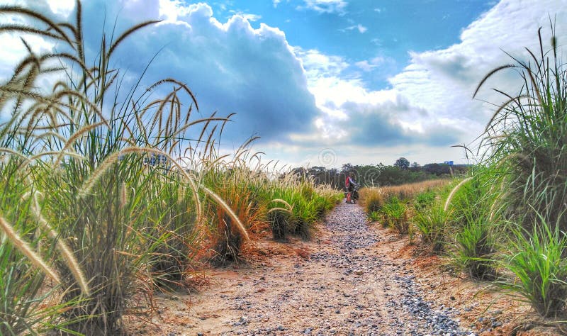 Lawn Small Path in the Green Park Stock Image - Image of stone, protect ...