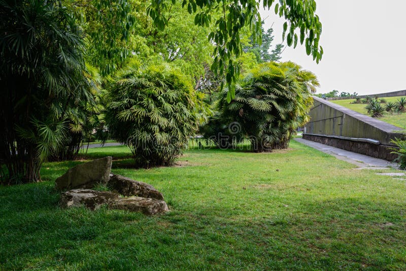 Lawn in spring stock image. Image of shrub, spring, bush - 40720495