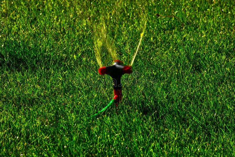 Lawn Sprinkler Spreading the Water Over the Grass Mat Stock Image ...