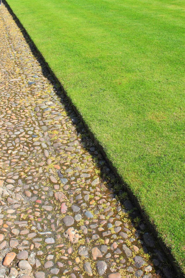 Stone Path between Pines in a Coniferous Forest Stock Photo - Image of ...