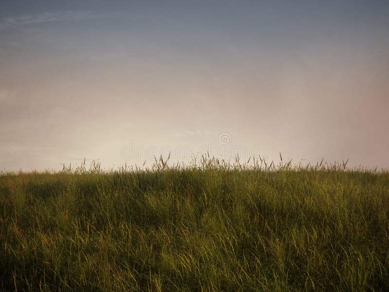 Lawn at sunset stock illustration. Illustration of nature - 21634425