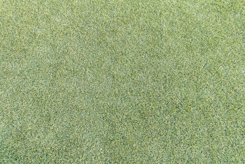 Lawn Texture stock photo. Image of agriculture, abstract - 27185408