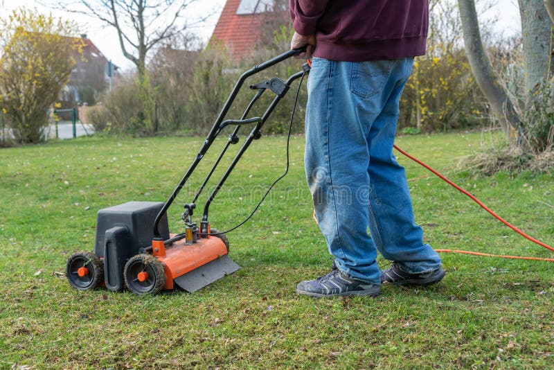 Lawn thatcher in action stock image. Image of nature - 176379037