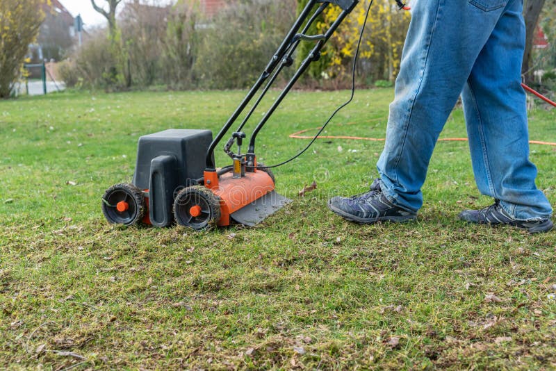 Lawn thatcher in action stock photo. Image of cultivation - 176379062