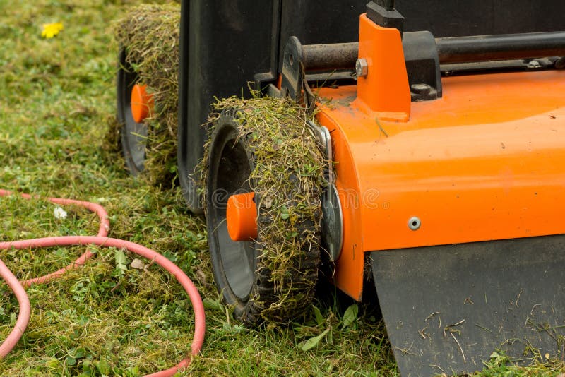 Lawn thatcher stock photo. Image of farming, farm, gardening - 53734996