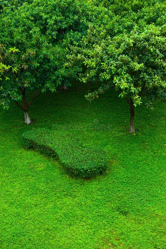 Lawn with tree stock image. Image of environments, green - 14501225