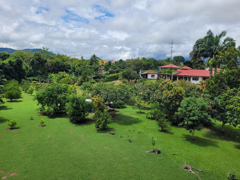 Lawn with Trees and a House Stock Photo - Image of plant, lawn: 221062392