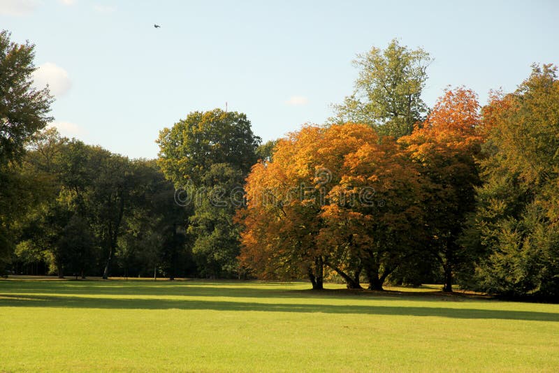 Lawn Trees and Sunlight during Fall Stock Image - Image of landscape ...