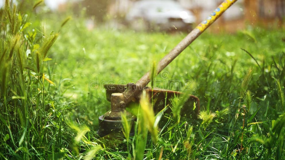 Lawn Trimming with Handheld String Trimmer Grass Cutter and Mower Stock ...