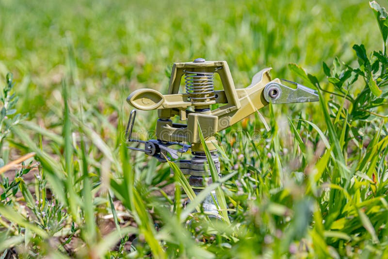 The Lawn Watering Device is Installed on the Ground among the Grass ...