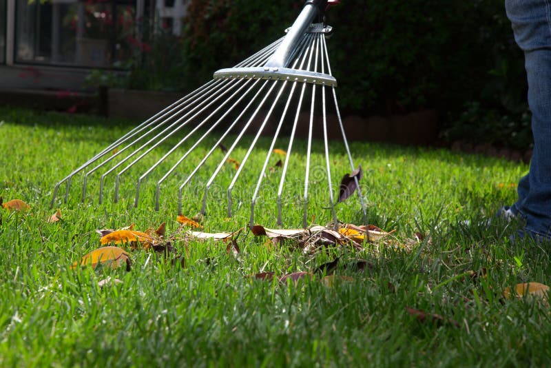 Lawn Work stock photo. Image of back, yard, garden, front - 25113398
