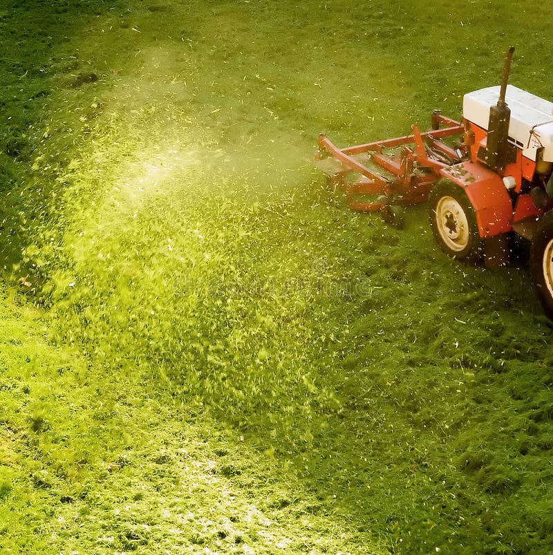 Lawnmover stock photo. Image of green, cutting, grassy - 9287696