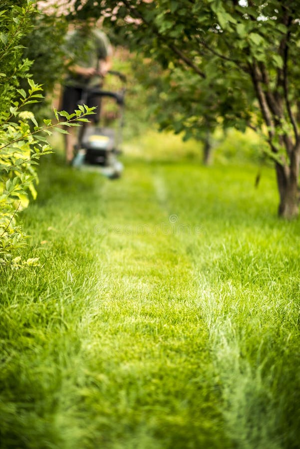Lawnmower trace stock image. Image of care, lawn, trace - 32548771