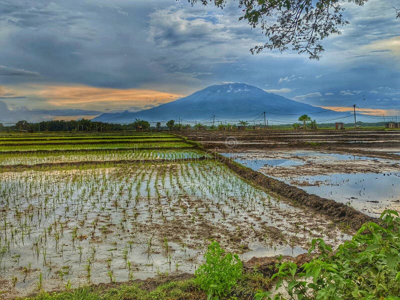 Lawu mountain stock photo. Image of landscape, ngawi - 263713208