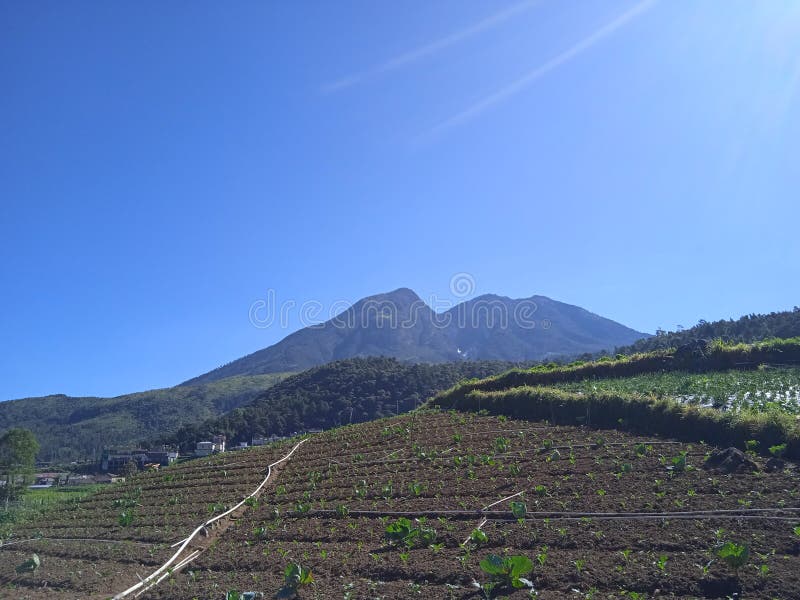 Lawu& X27;s Mountain in Central Java, Indonesia Stock Image - Image of ...