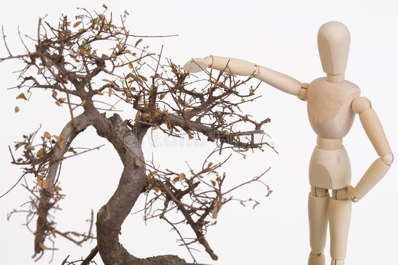 Lay figure with tree stock photo. Image of doll, jointed - 12622154
