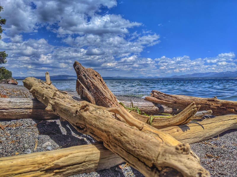Lay low log stock photo. Image of vacation, cliff, beach - 226671606