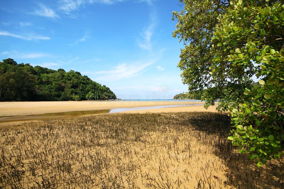 Layan beach stock image. Image of panoramic, summer, ripple - 23625903