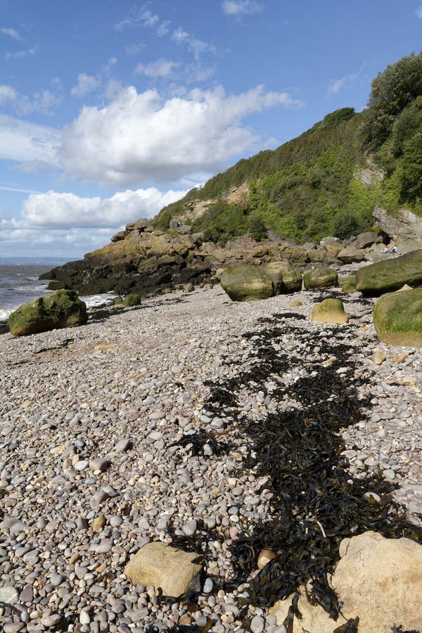 Layde Bay stock image. Image of nature, severn, portrait - 235544985