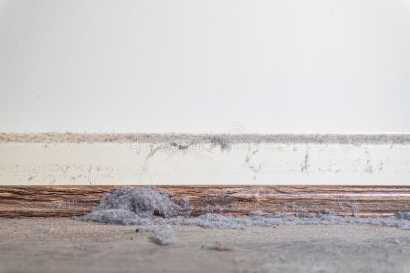 Layer of Dust Under the Bed Inside a House Stock Photo - Image of ...