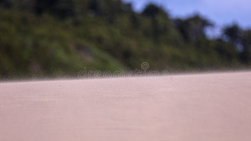 Layer of Flying Sand Particles Above the Surface of a Sand Dune Under ...