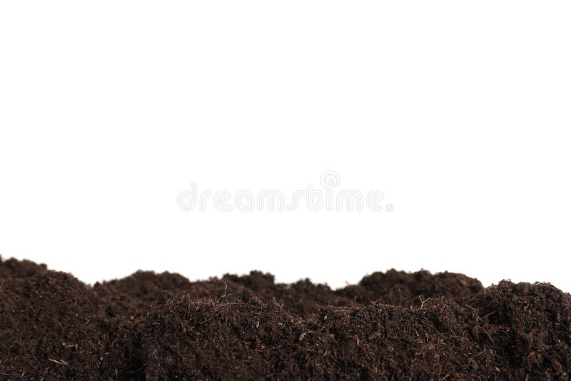 Layer of Fresh Soil Isolated. Gardening Time Stock Photo - Image of ...