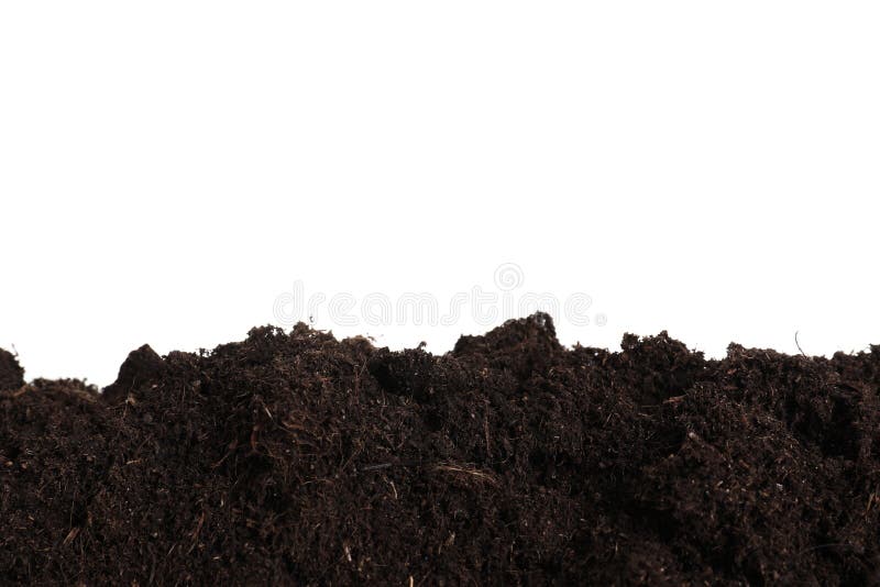 Layer of Fresh Soil Isolated. Gardening Time Stock Image - Image of ...