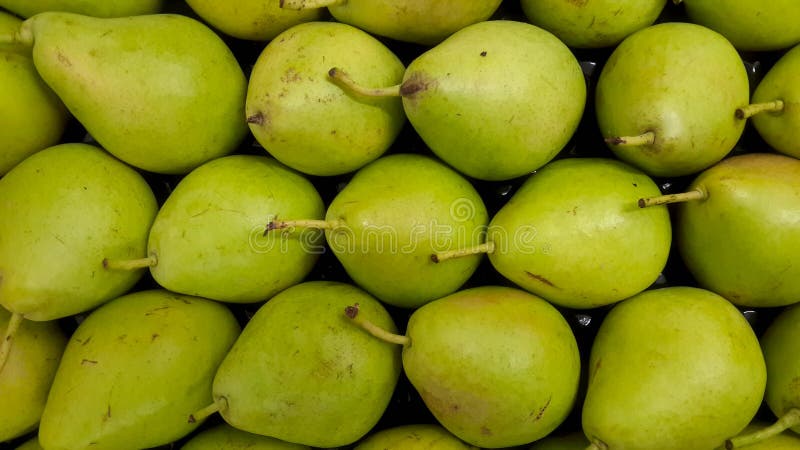 A Layer of Ordered Group of Pears Stock Image - Image of economy, group ...