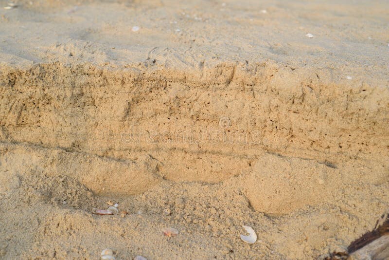 Sand layer beach stock photo. Image of outdoor, textured - 23109512
