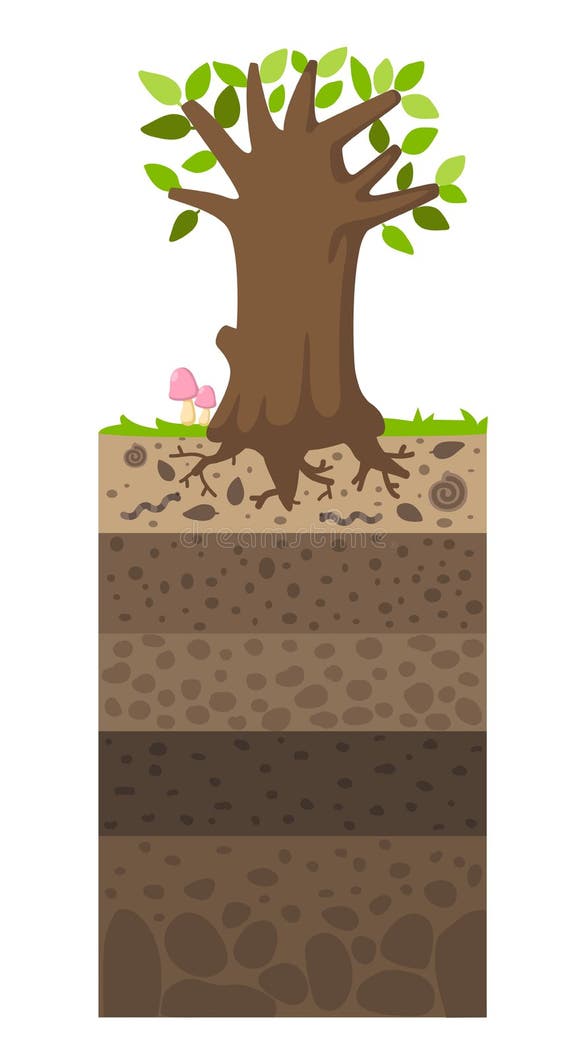 Layer of Soil Beneath the Tree Stock Vector - Illustration of ground ...
