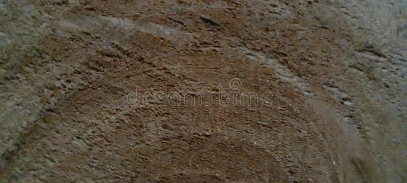 Layer teak wood java stock photo. Image of door, wood - 261918896