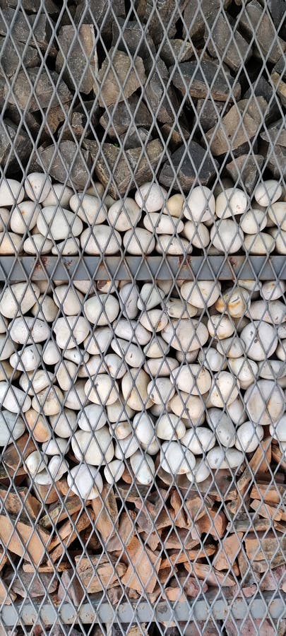 Layer white pebble stock image. Image of soil, wood - 202788121